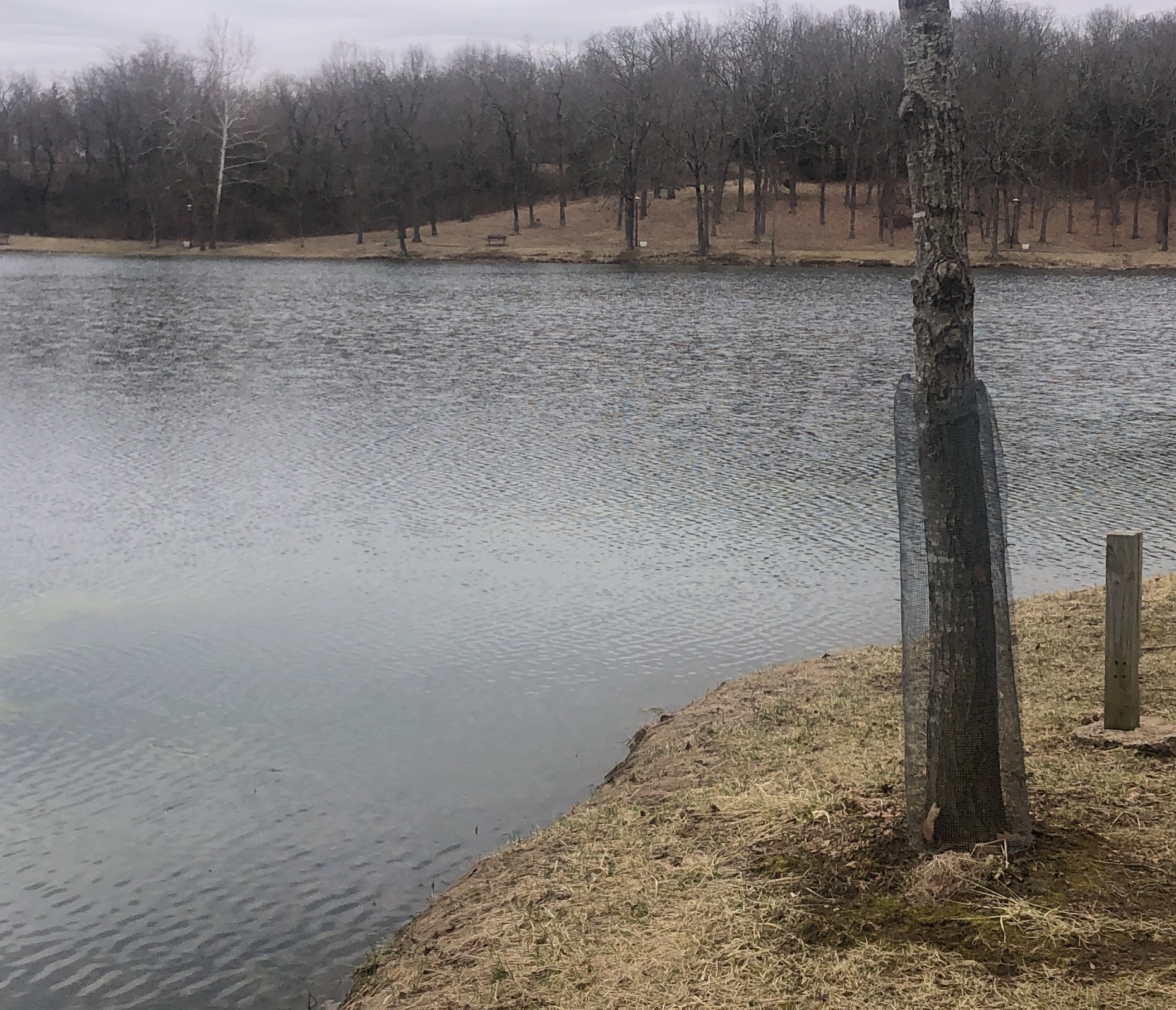 Lakeview Lake